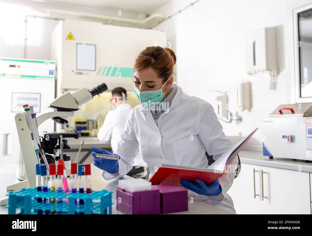 Two biologists man and woman working on samples in laboratory Stock ...