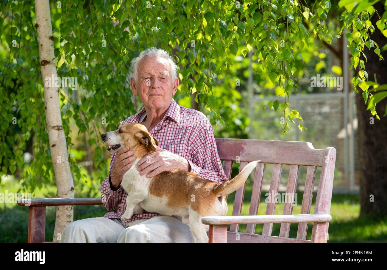 Dog man lap love old hi-res stock photography and images - Alamy