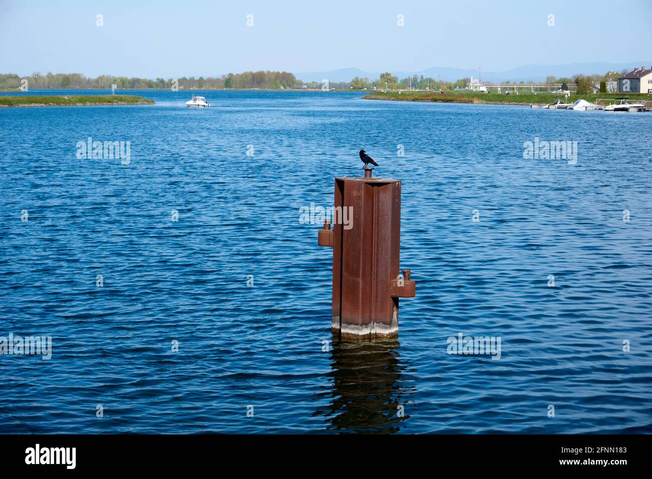 Bird in calm environment hi-res stock photography and images - Alamy