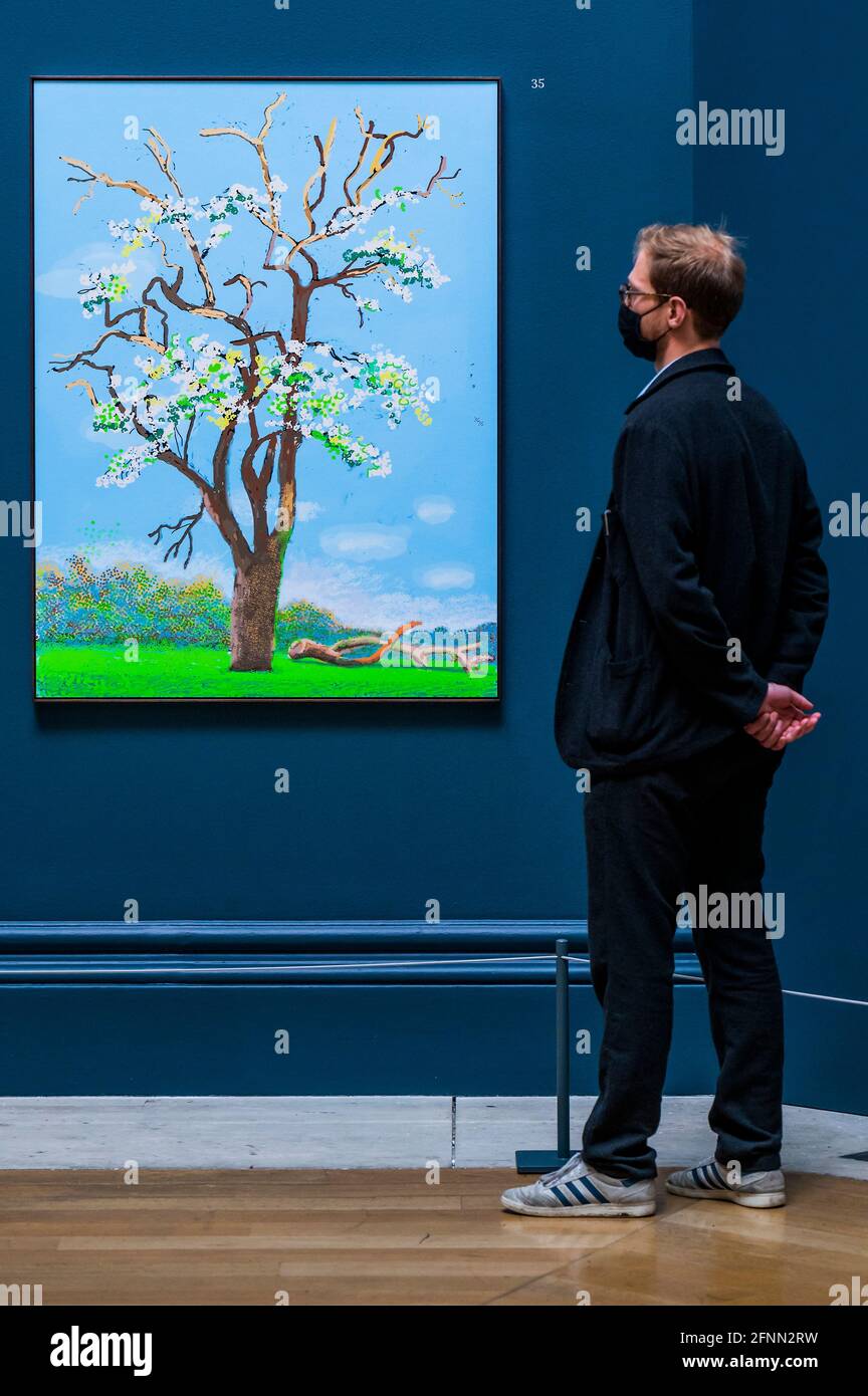 David hockney the arrival of spring normandy hi-res stock photography ...