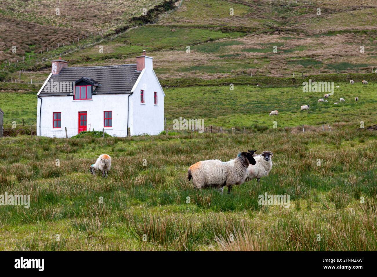 Farmhouse landscapes hi-res stock photography and images - Alamy