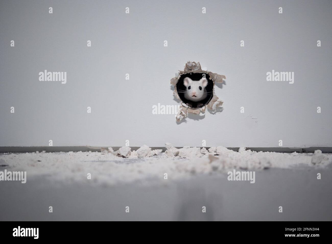 Paris, France. 18th May, 2021. A picture taken on May 18, 2021 shows ...
