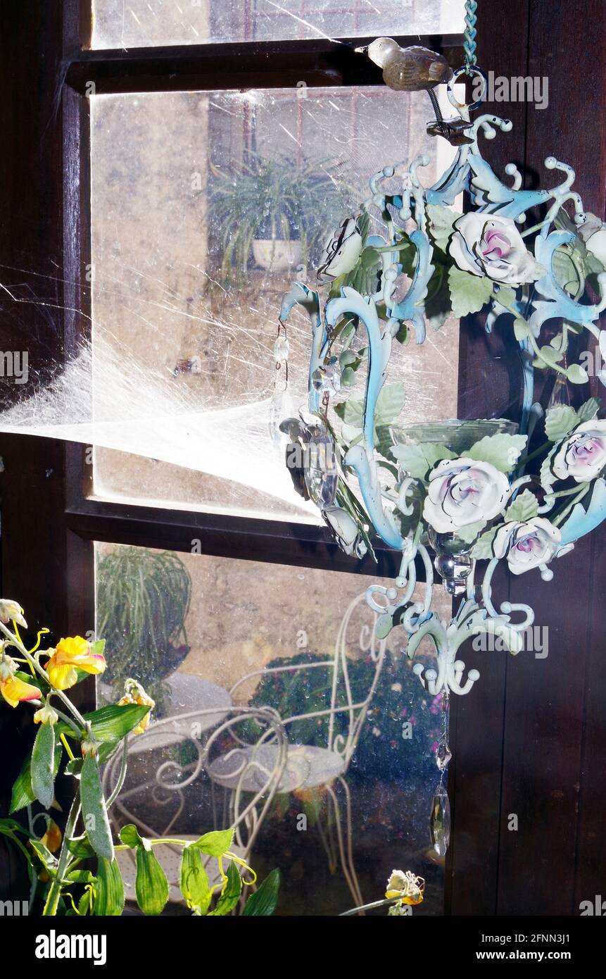 The home of a very large spider (visible near top left of image 2FNN3K7 ...