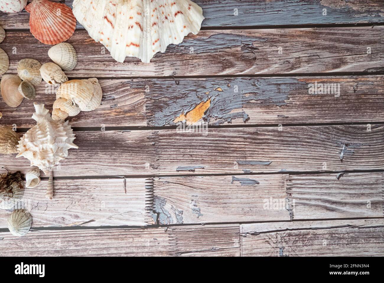 Backdrop back drop hi-res stock photography and images - Alamy