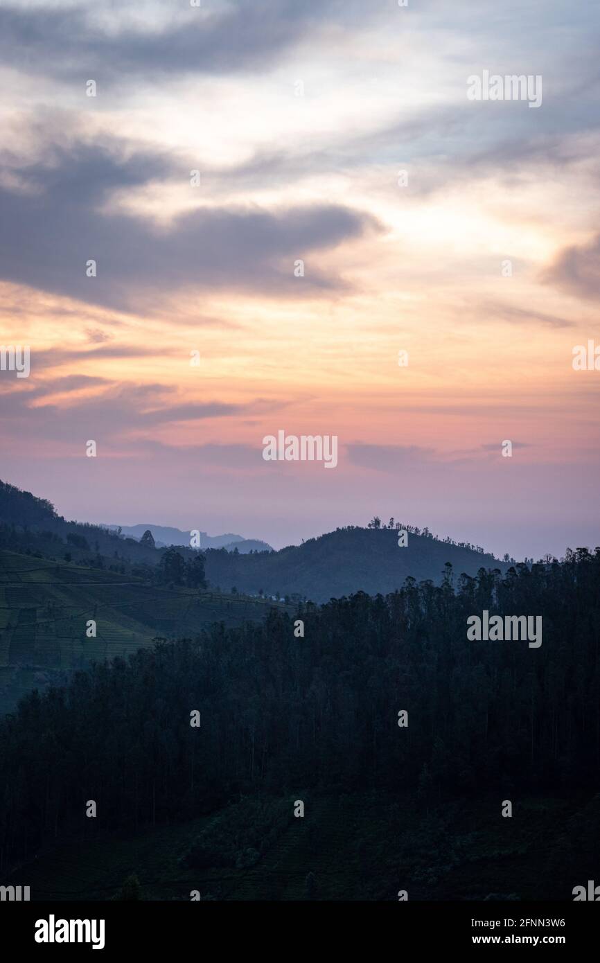 mountain dawn view with orange sky and tea garden image is taken at ...