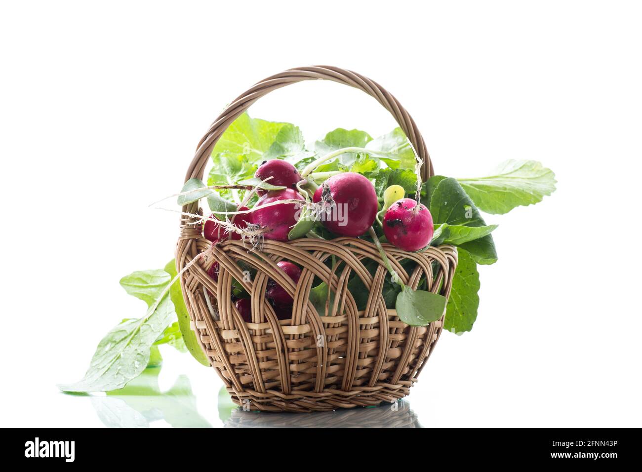 fresh natural organic ripe radish in basket isolated on white ...