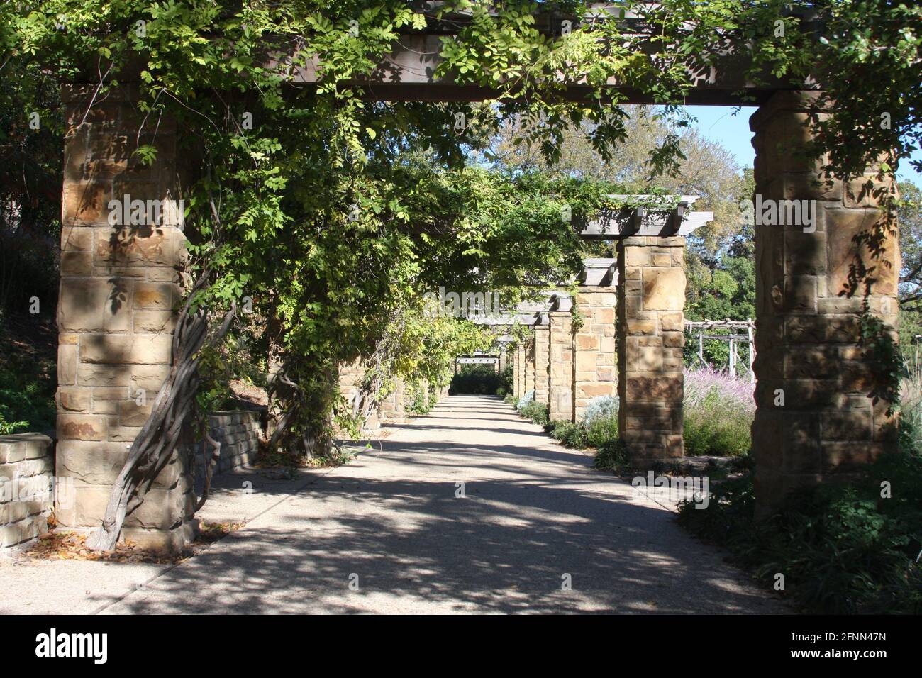 Arbor at the Dallas Arboretum in Dallas Texas Stock Photo - Alamy