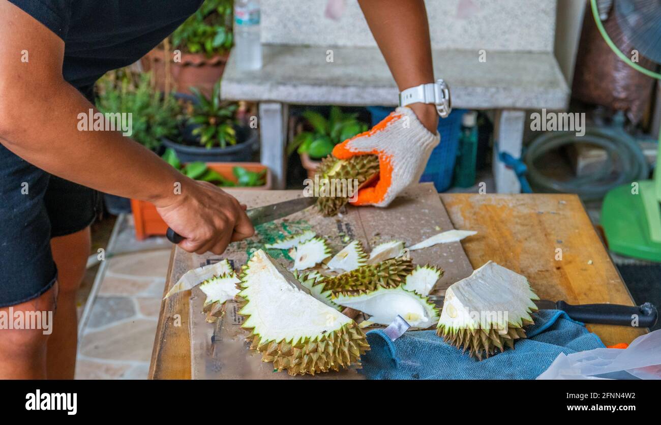 Cutting durian hi-res stock photography and images - Alamy
