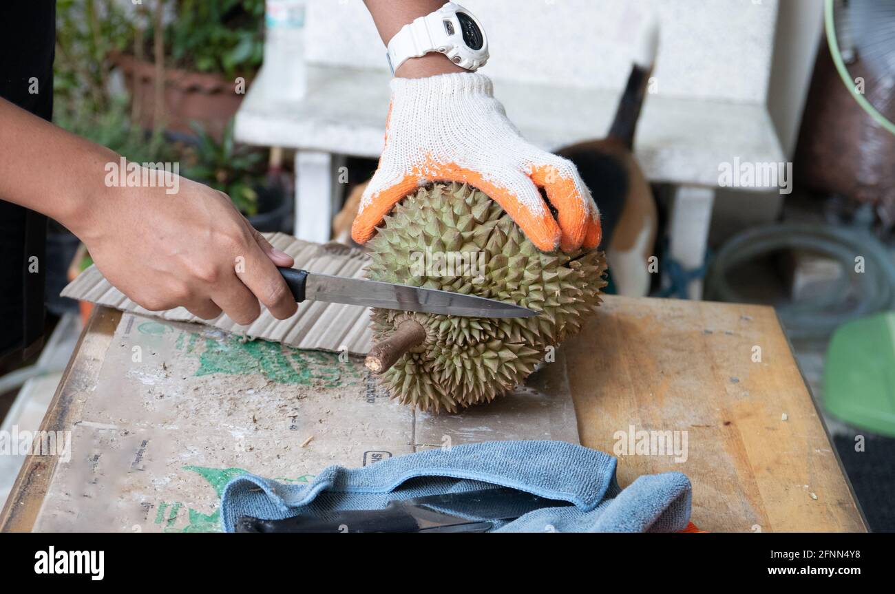 Cutting durian hi-res stock photography and images - Alamy
