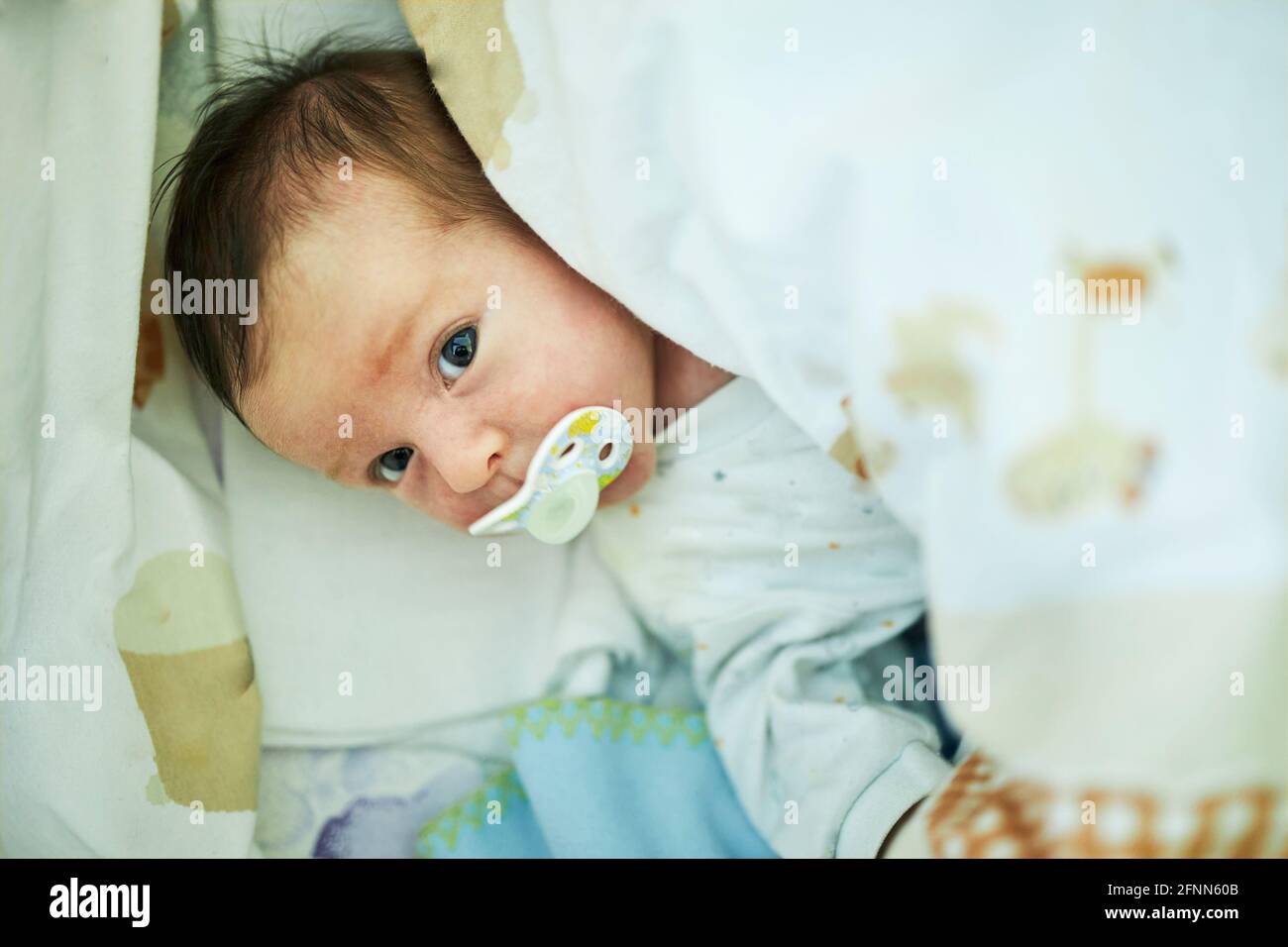 Adorable month old baby with the pacifier Stock Photo - Alamy