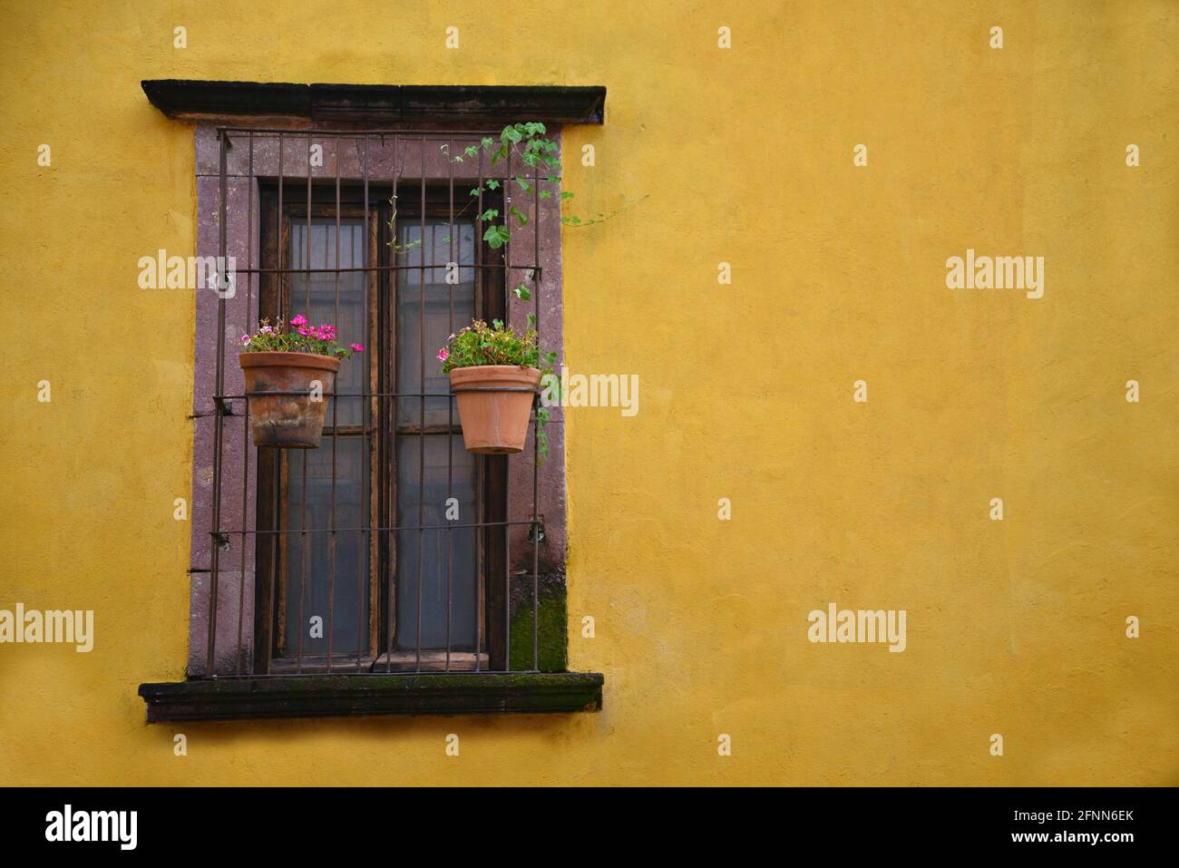 Colonial house window with stone trim, handcrafted iron grilles and ...