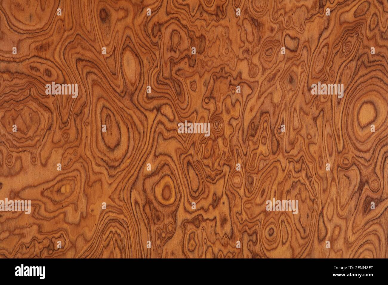 Elm Burl veneer texture in contrast color as part of your elegant home ...