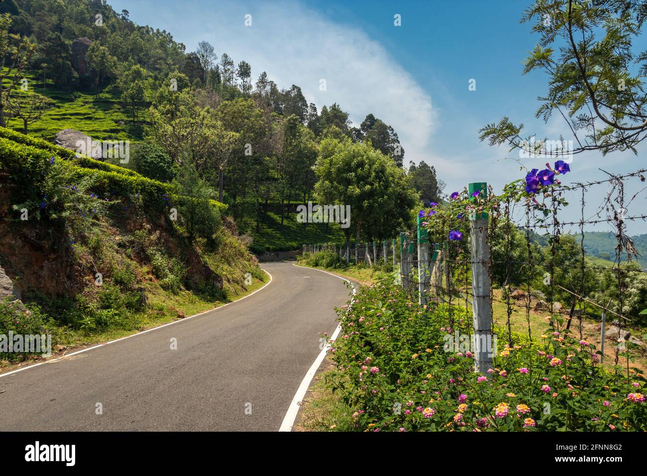 Isolated road in the hill of western ghat image is taken at ooty ...