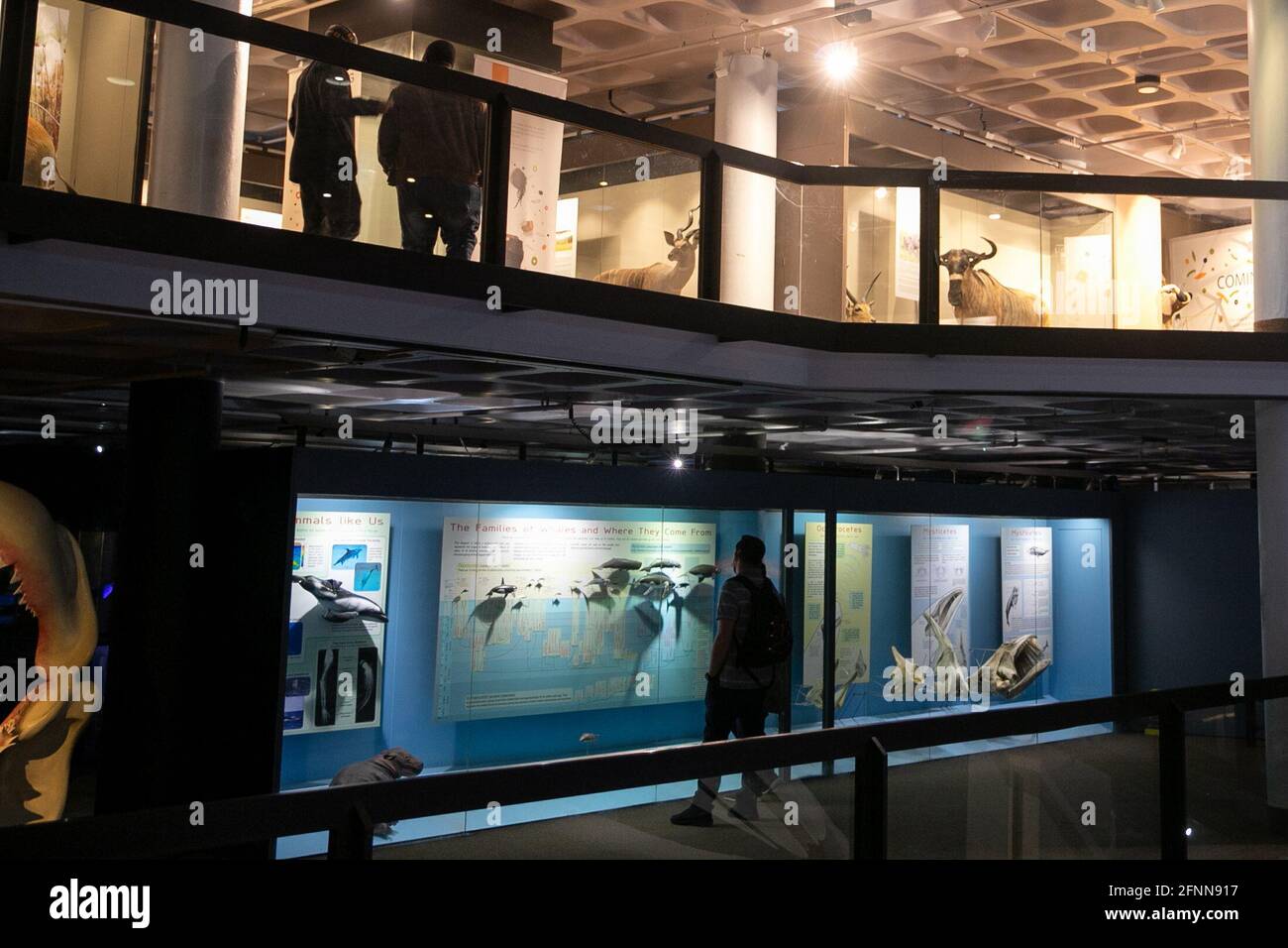 Cape Town, South Africa. 18th May, 2021. People visit the South African ...