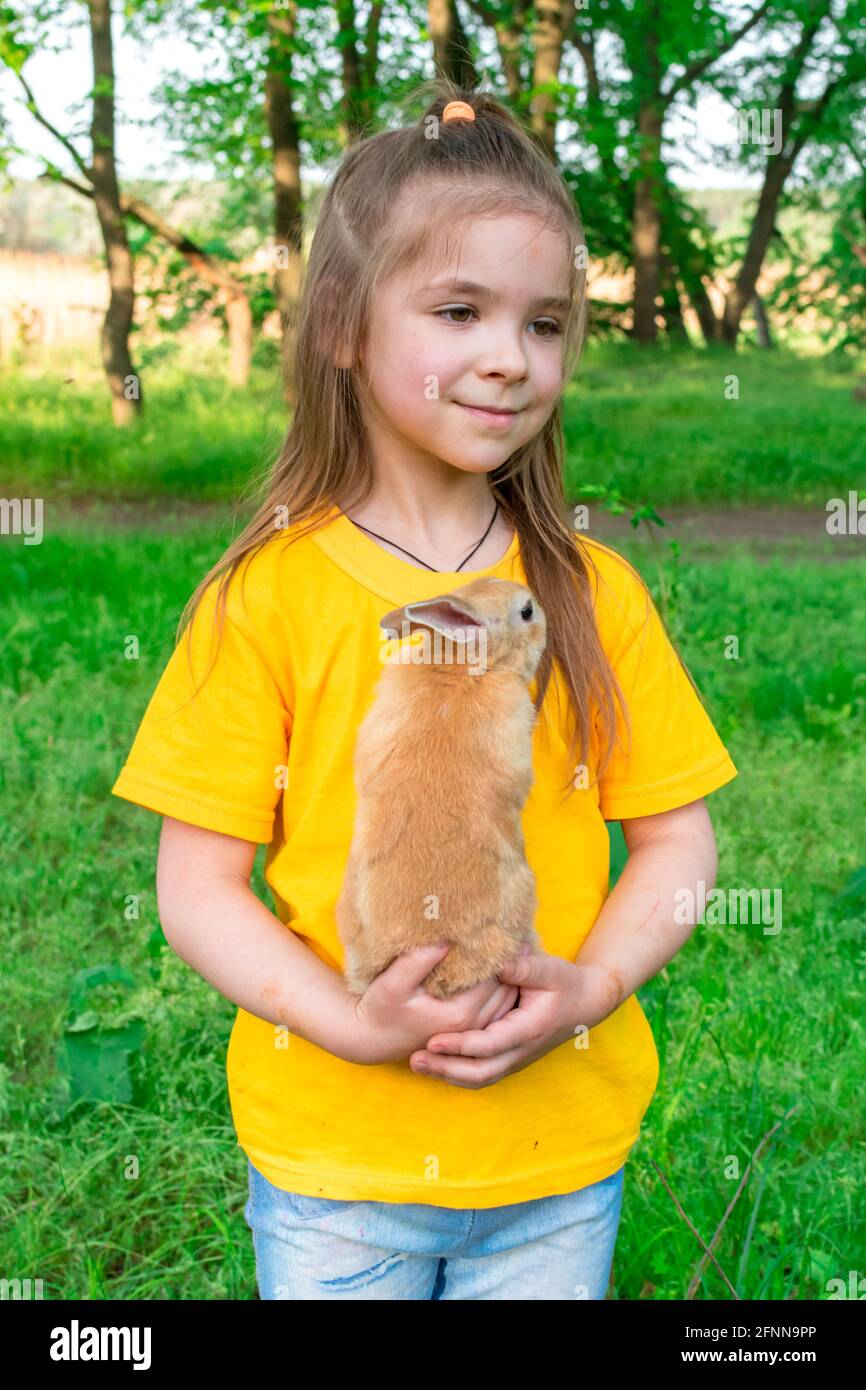 A little cute girl is holding a real rabbit in her arms against a ...