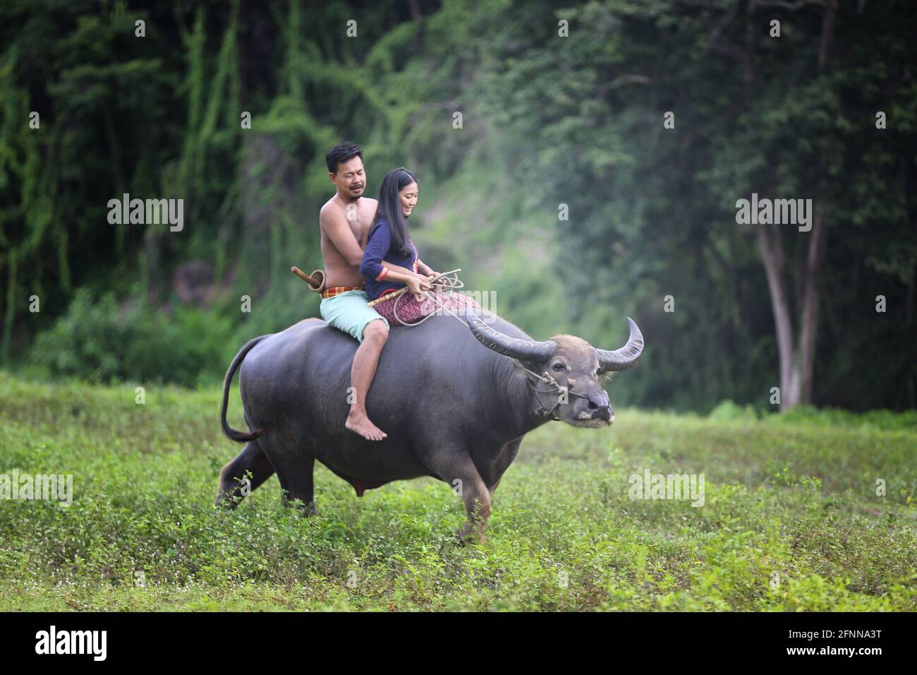 Wagon indian tribe hi-res stock photography and images - Alamy