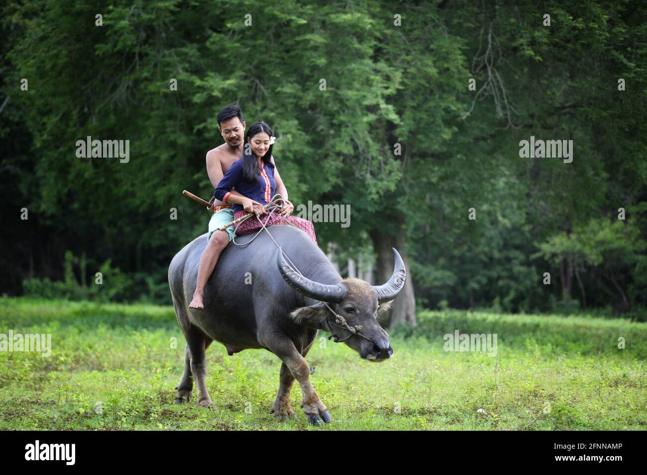 Riding On Buffalo High Resolution Stock Photography and Images - Alamy