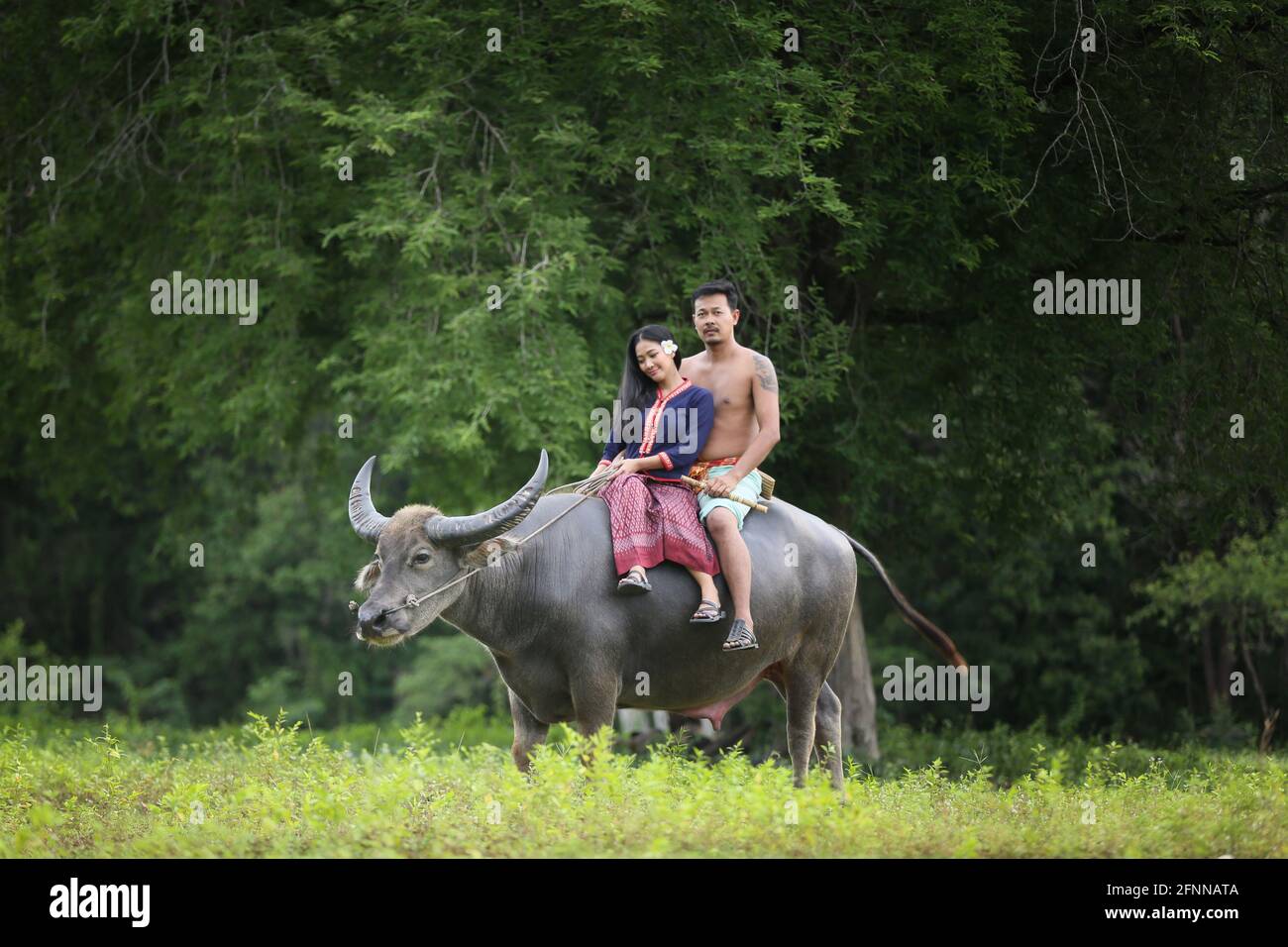 Riding on buffalo hi-res stock photography and images - Alamy