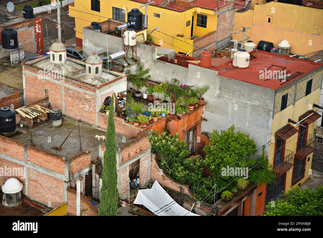 Aerial view of urban colorful houses and rooftop garden terraces in San ...