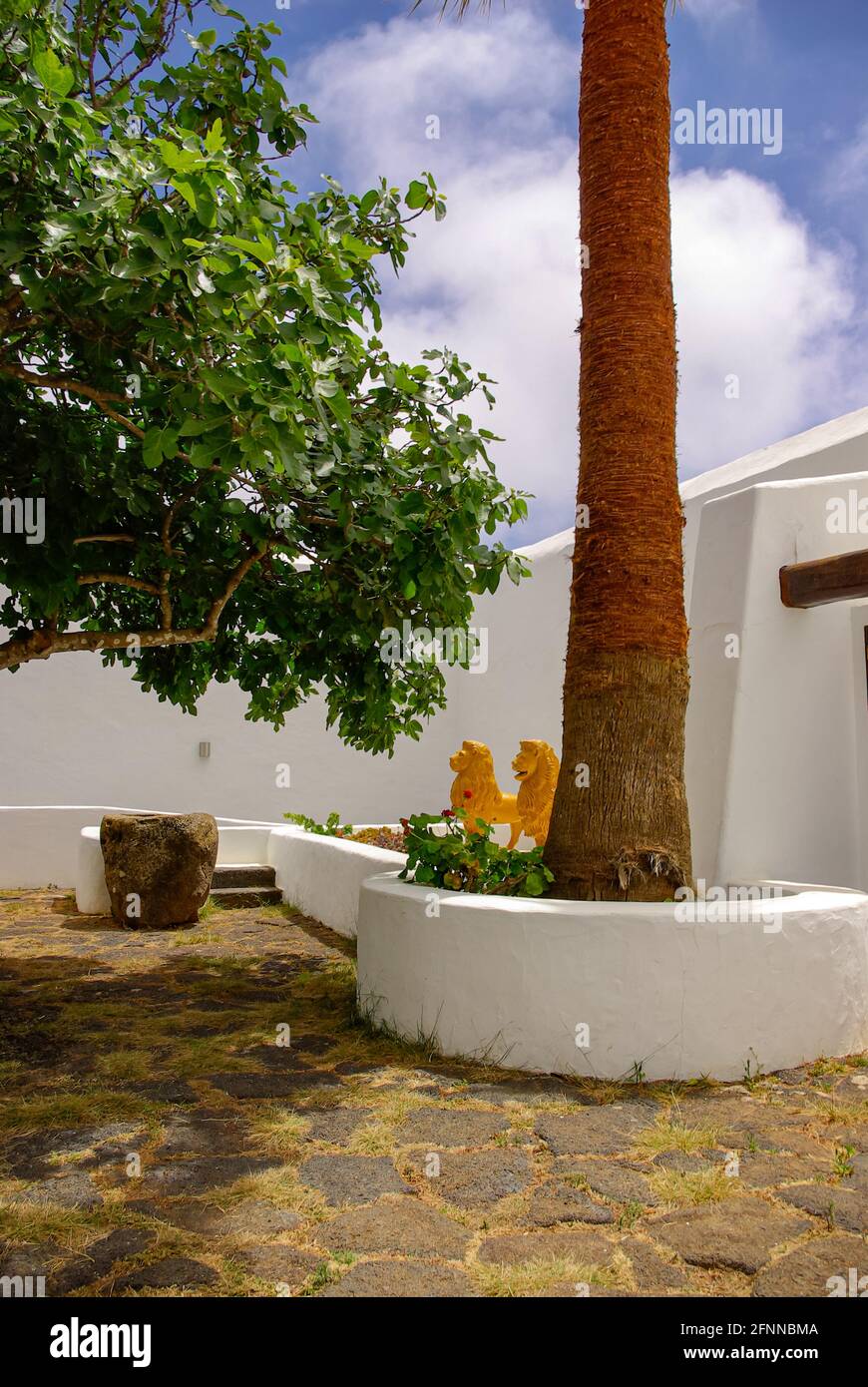 Timple hi-res stock photography and images - Alamy