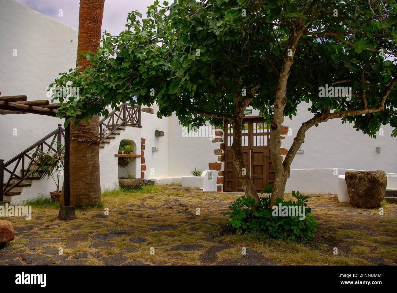 Timple hi-res stock photography and images - Alamy