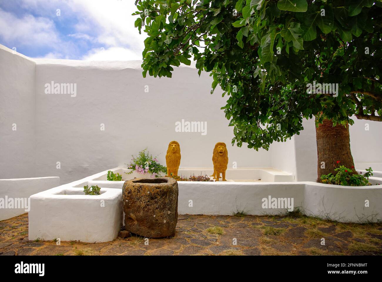 Timple hi-res stock photography and images - Alamy