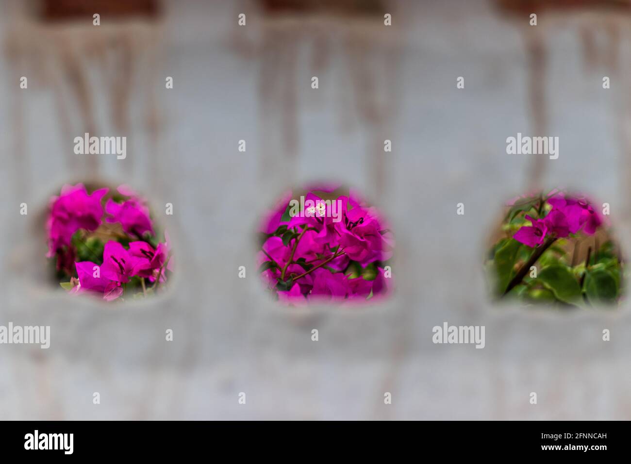 Flower wall holes hi-res stock photography and images - Alamy