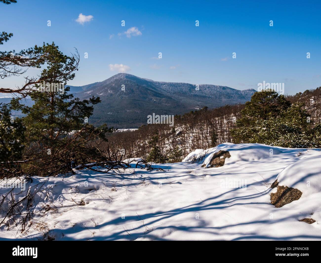 Stunning beautiful winter forest. The wildest white snow in the Vosges ...