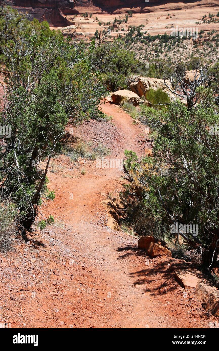 Colorado landscape - Colorado National Monument. Monument Canyon hiking ...