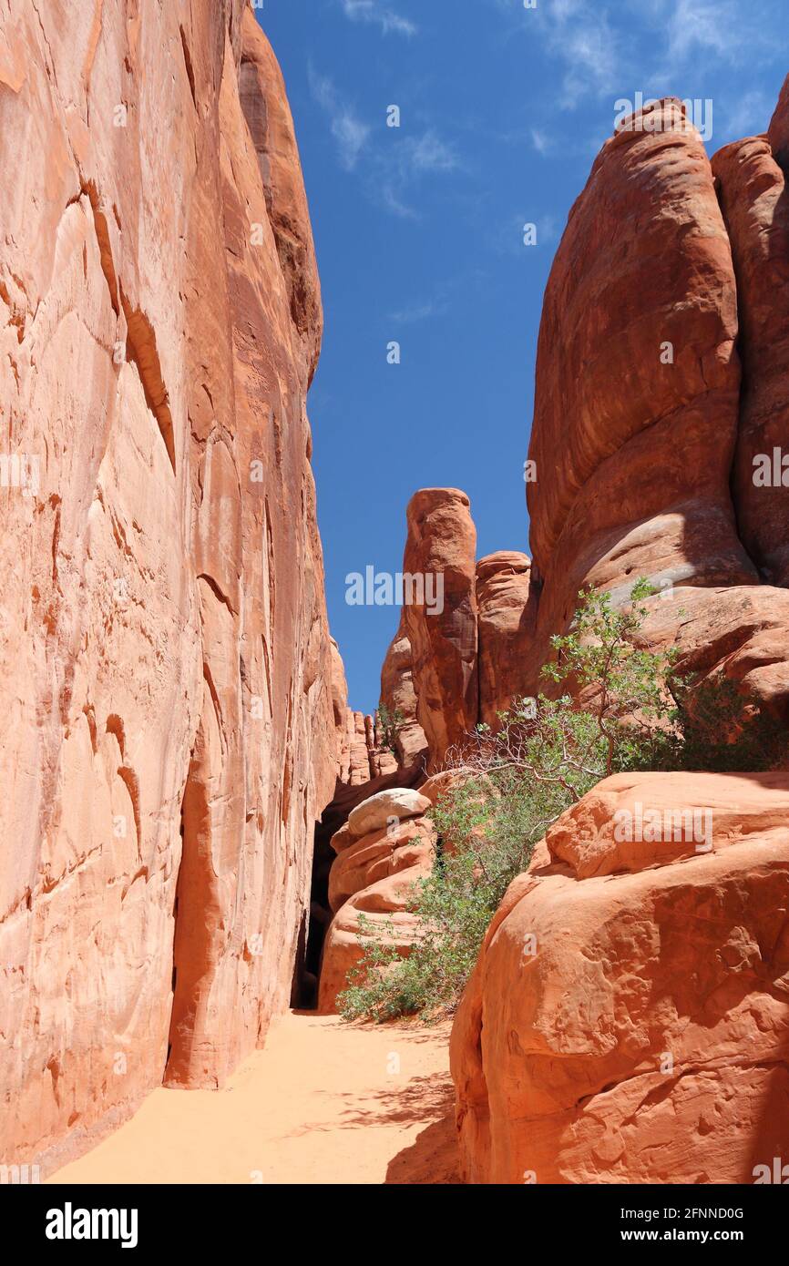 Utah landscape - Arches National Park. Unique geological rock ...