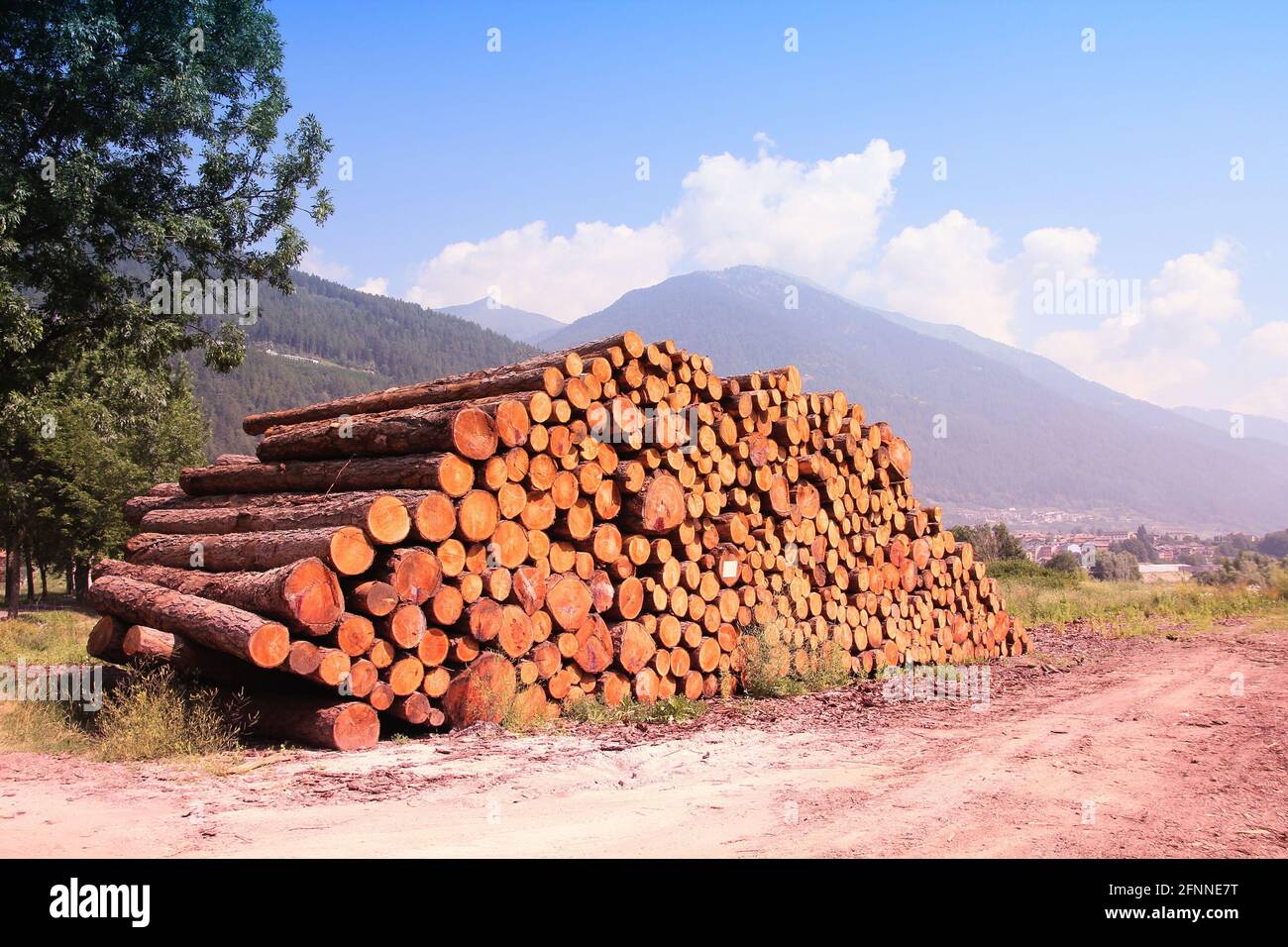 Lumber in the mountains of Italy. Stacked wood in Dolomites. Filtered ...