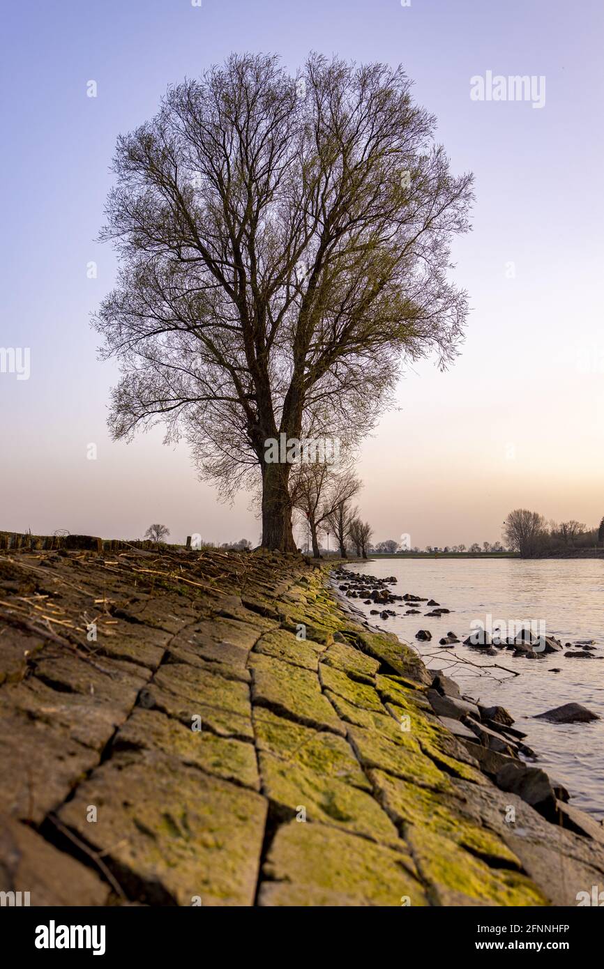 Riverbed rock edge protective layer from water wave erosion Stock Photo ...