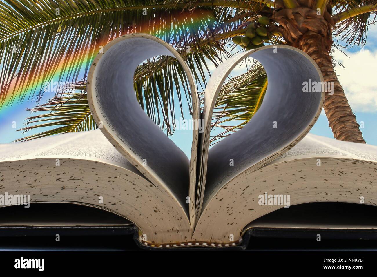 Open book with heart curve with palm tree and rainbow Stock Photo - Alamy