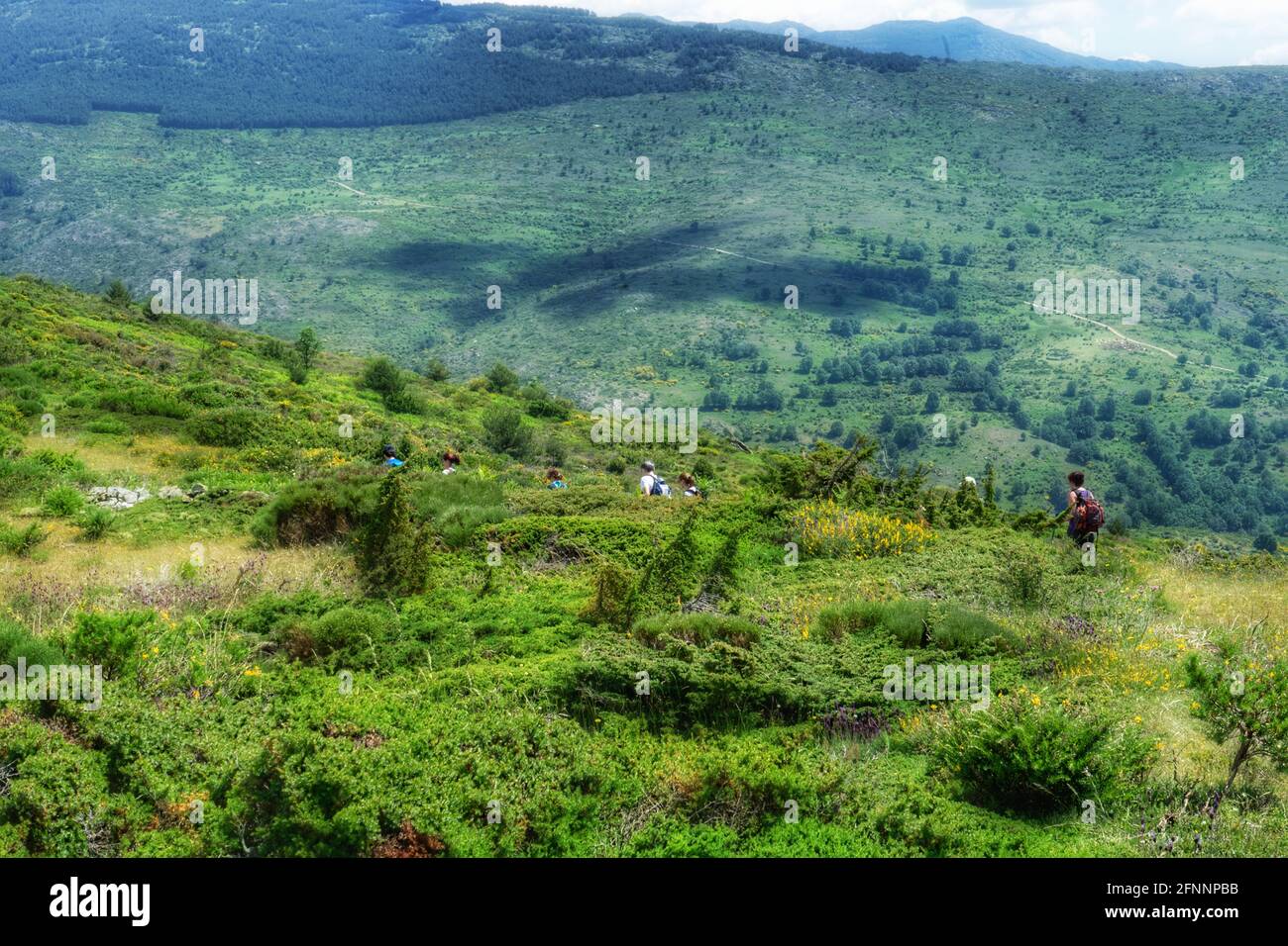 Group of trekking tourists is passing through the scenic hilly terrain ...