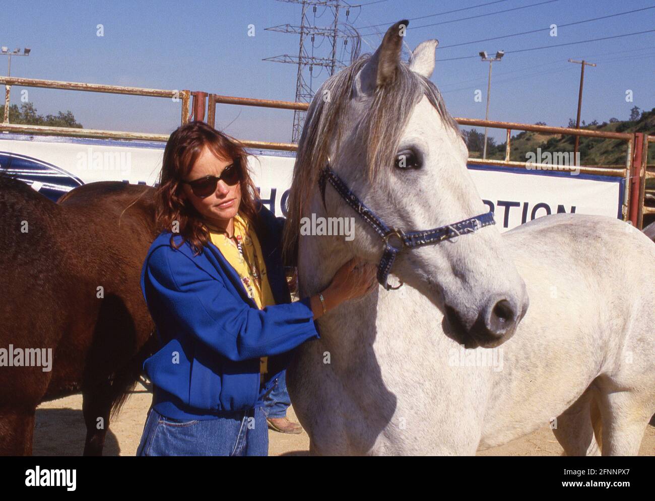 Pamela Sue Martin April 1986 Credit: Ralph Dominguez/MediaPunch Stock ...