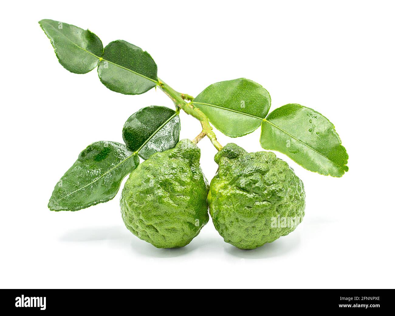 Fresh Bergamot fruit with leaf isolated on white background Stock Photo ...
