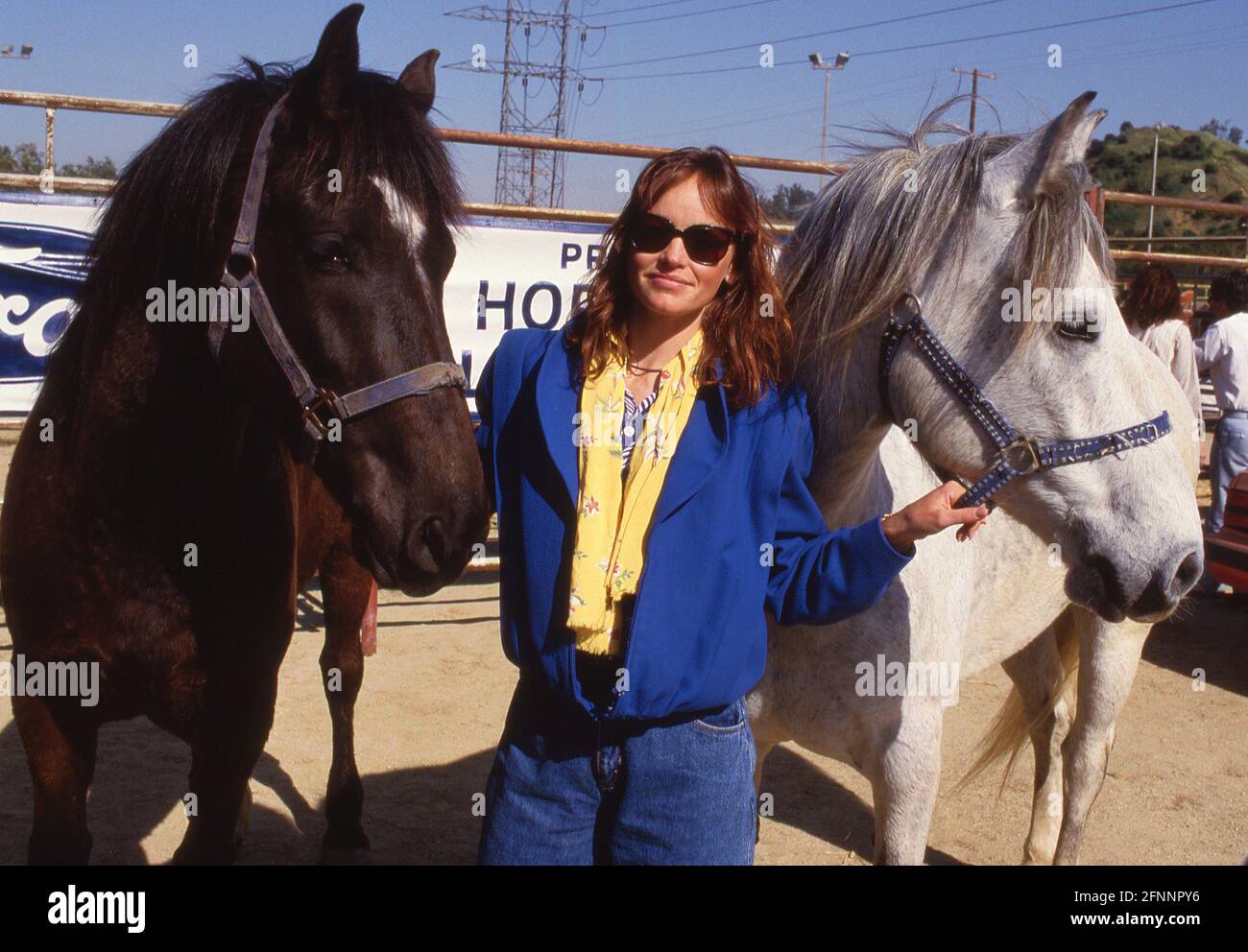 Pamela Sue Martin April 1986 Credit: Ralph Dominguez/MediaPunch Stock ...