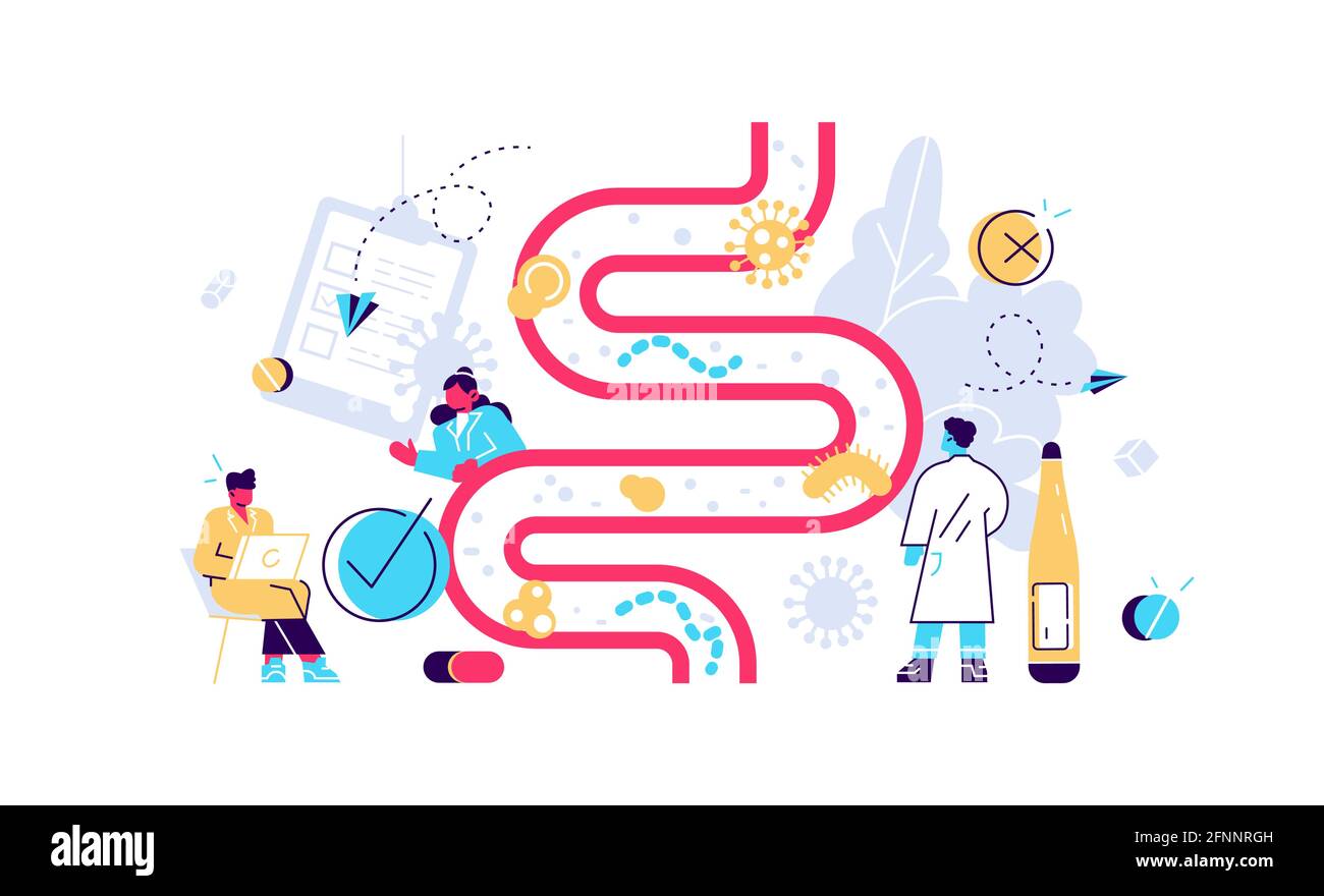 Intestinal microflora with good and bad bacteries Stock Vector Image ...