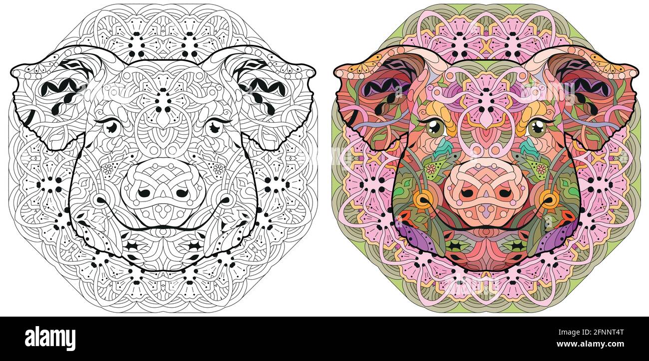 Head of pig with mandala zentangle styled for t-shirt design, for ...