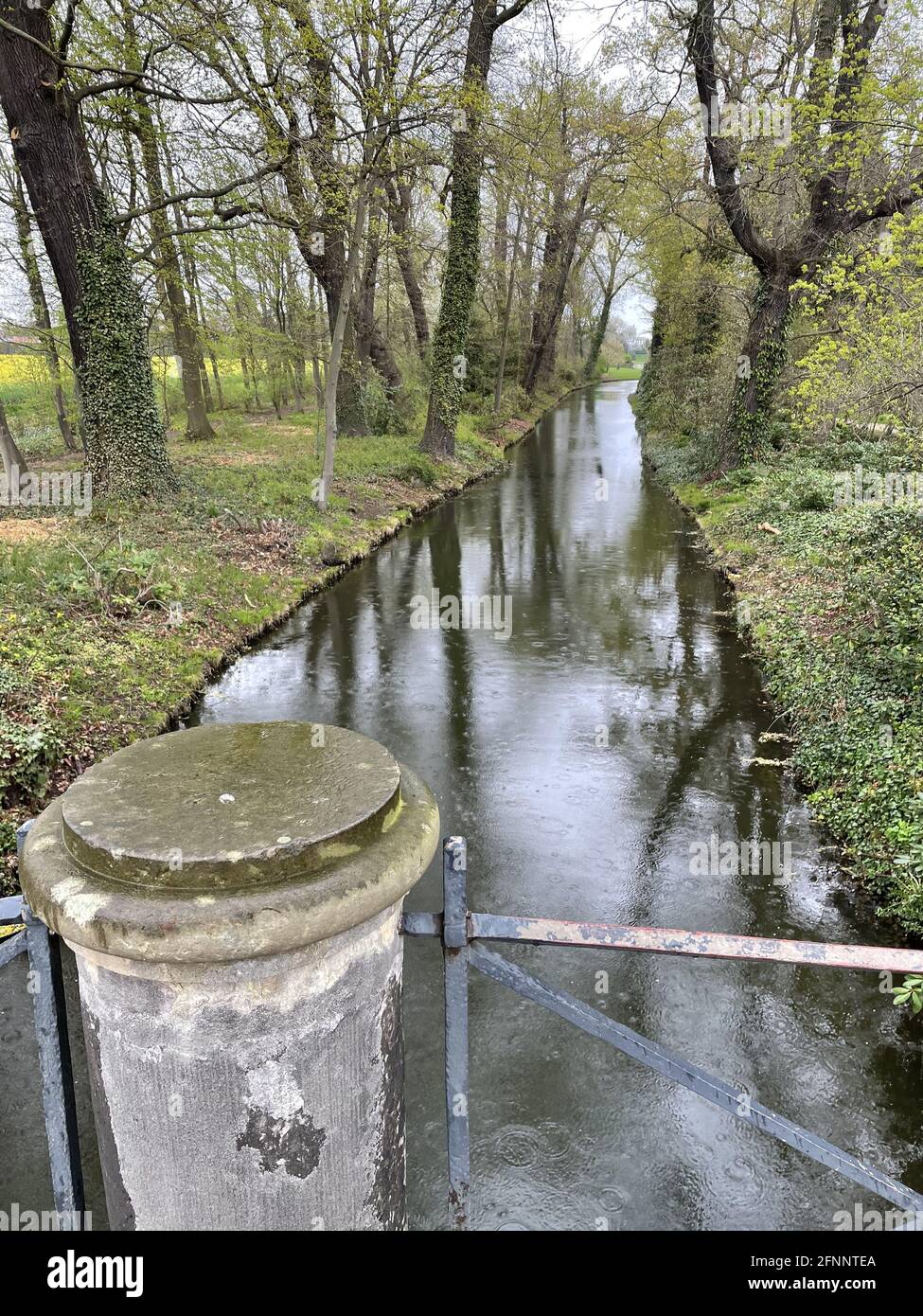 Narrow river flows through a field with tall trees Stock Photo - Alamy
