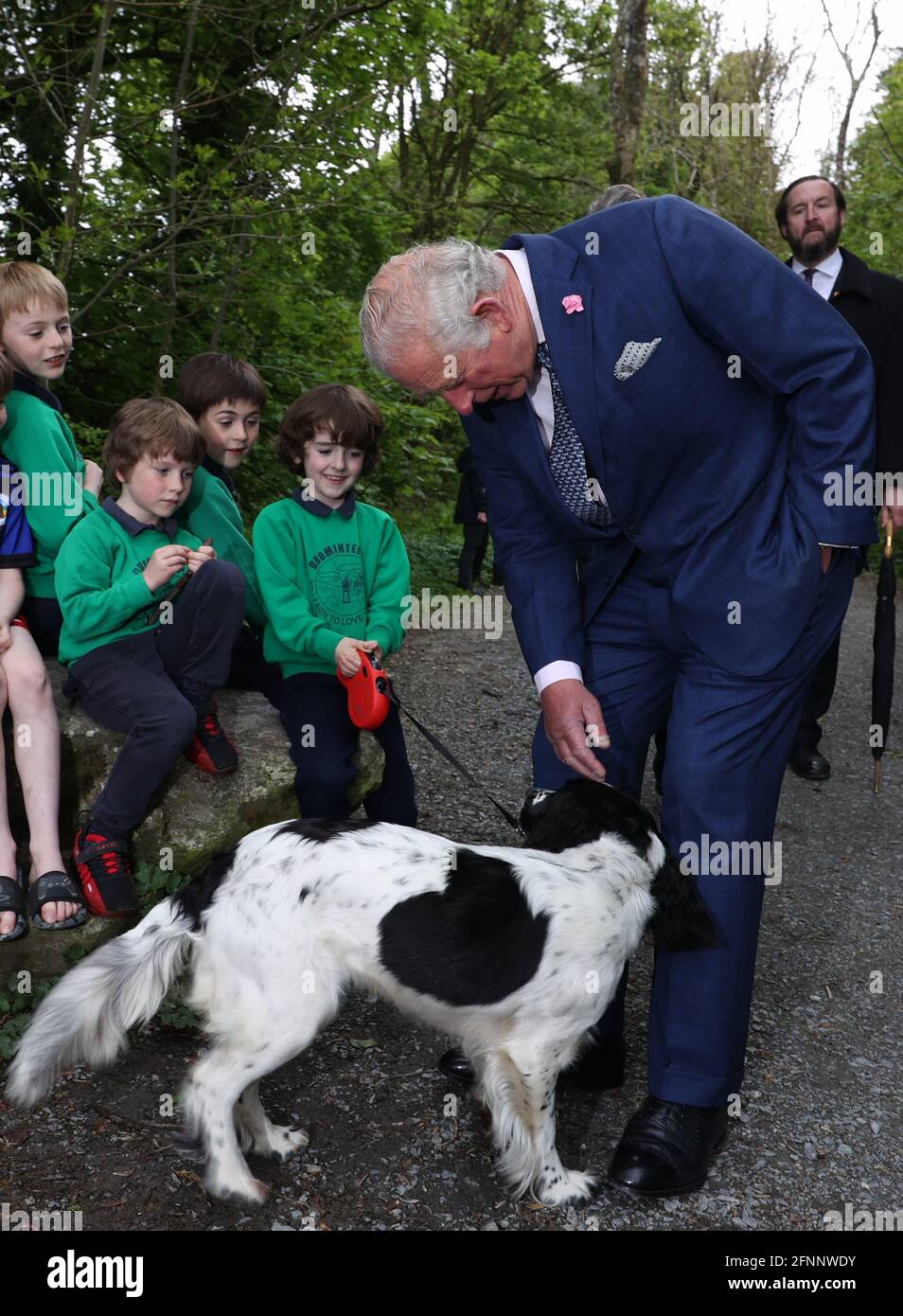 Prince charles spaniel hi-res stock photography and images - Alamy