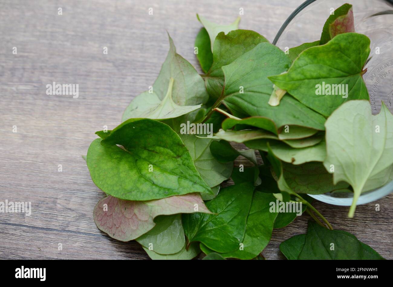 Houttuynia cordata leaves vegetables Stock Photo - Alamy
