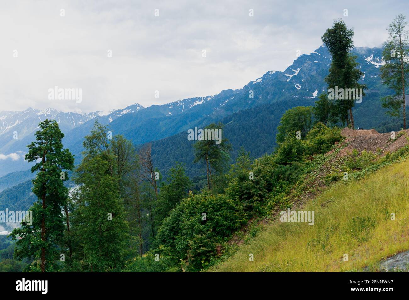 Mountains with rocks and trees in summer Stock Photo - Alamy