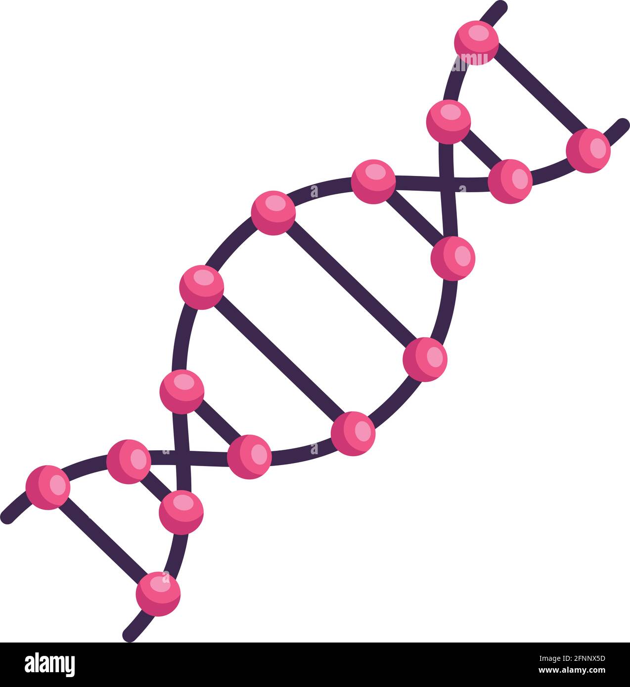 Pink dna helix Stock Vector Images - Alamy