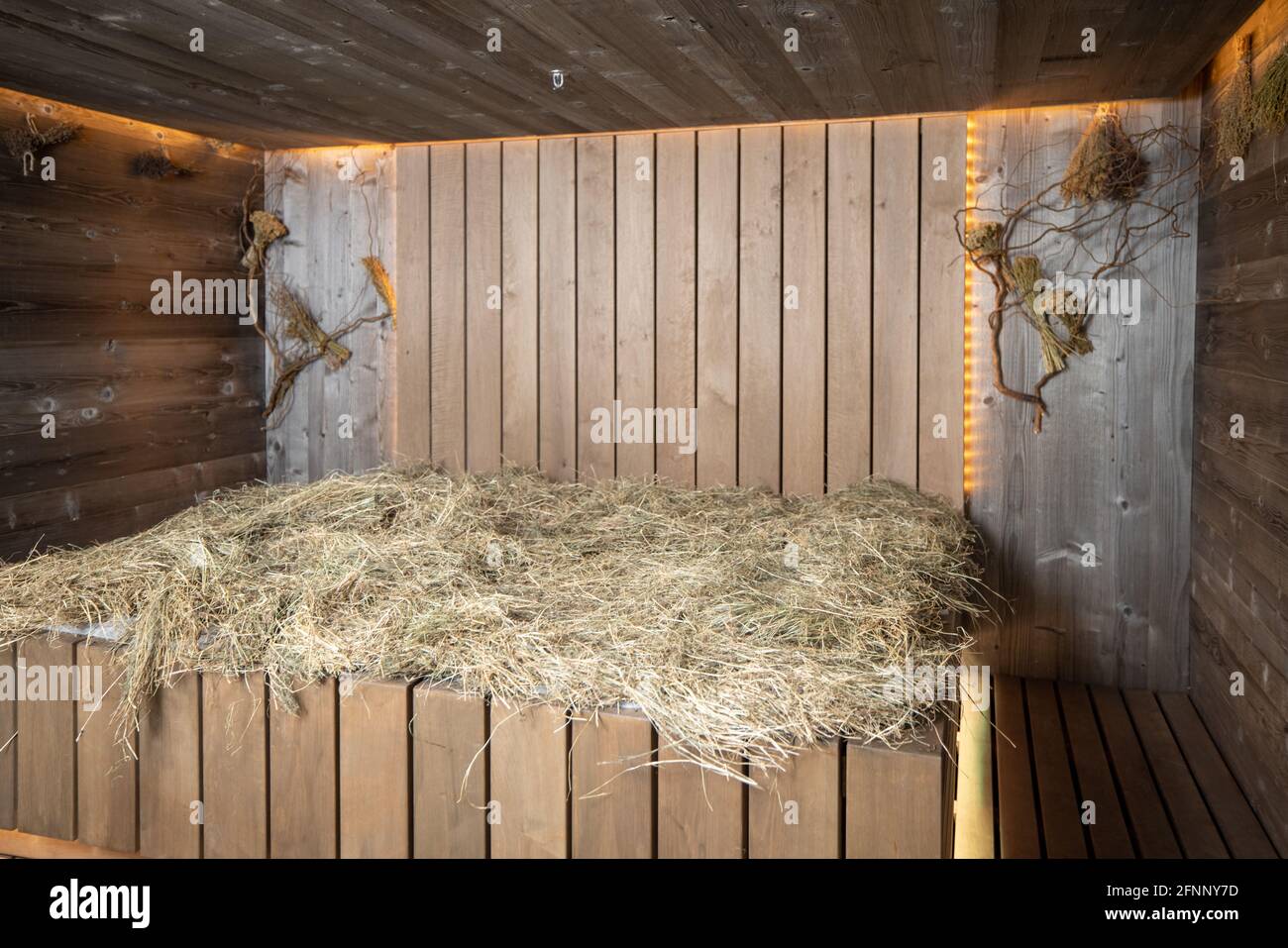 Interior of a wooden sauna, steam room, bathhouse with hay on wooden ...