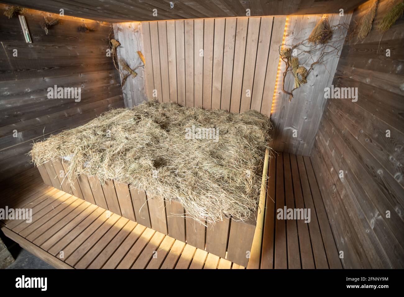 Interior of a wooden sauna, steam room, bathhouse with hay on wooden ...