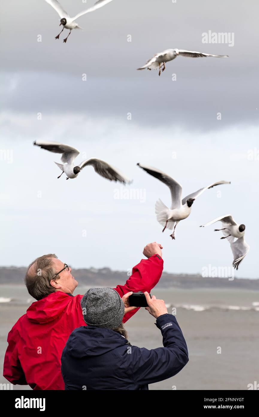 Two headed man hi-res stock photography and images - Alamy