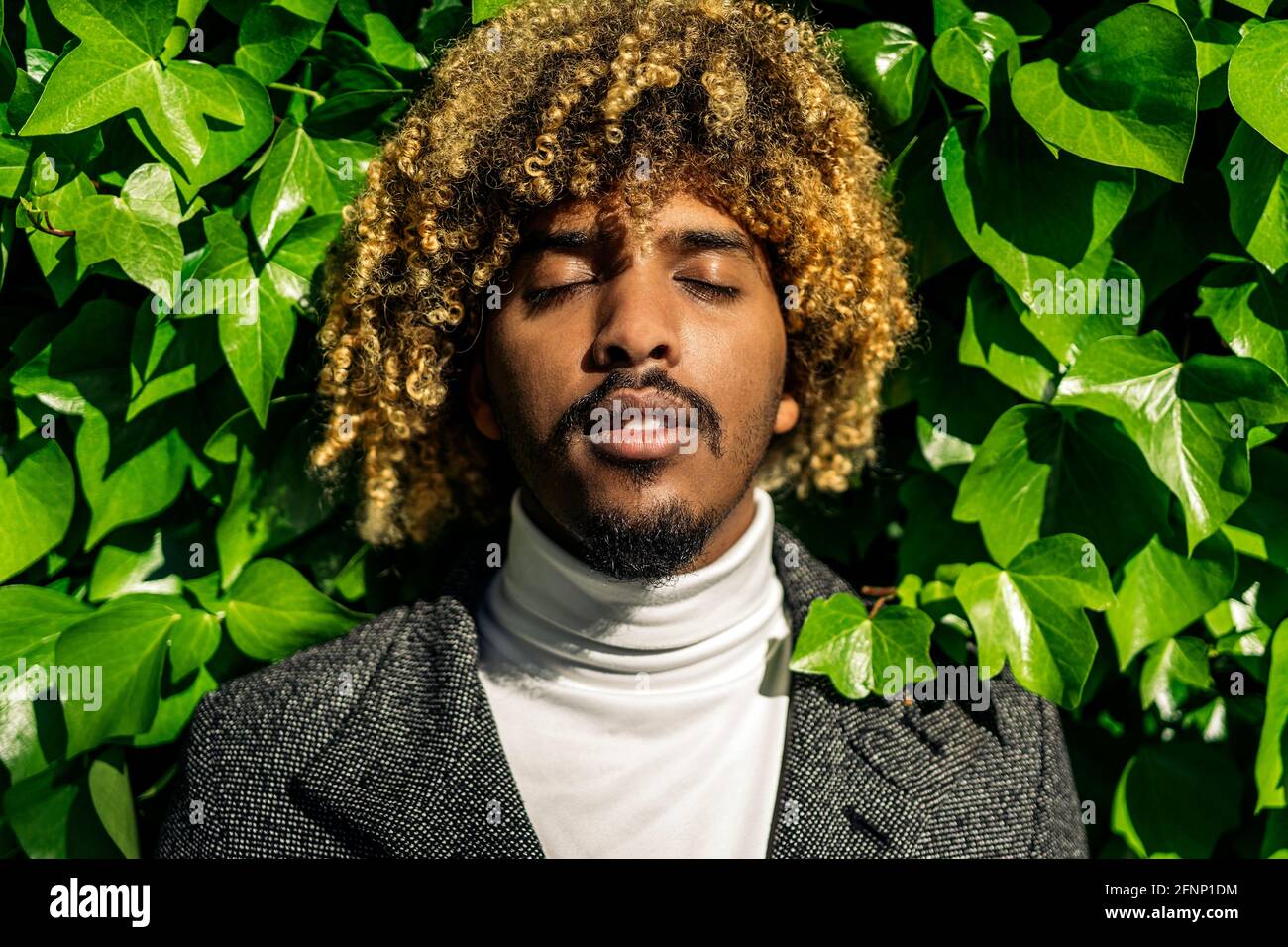 Portrait handsome guy afro hi-res stock photography and images - Alamy