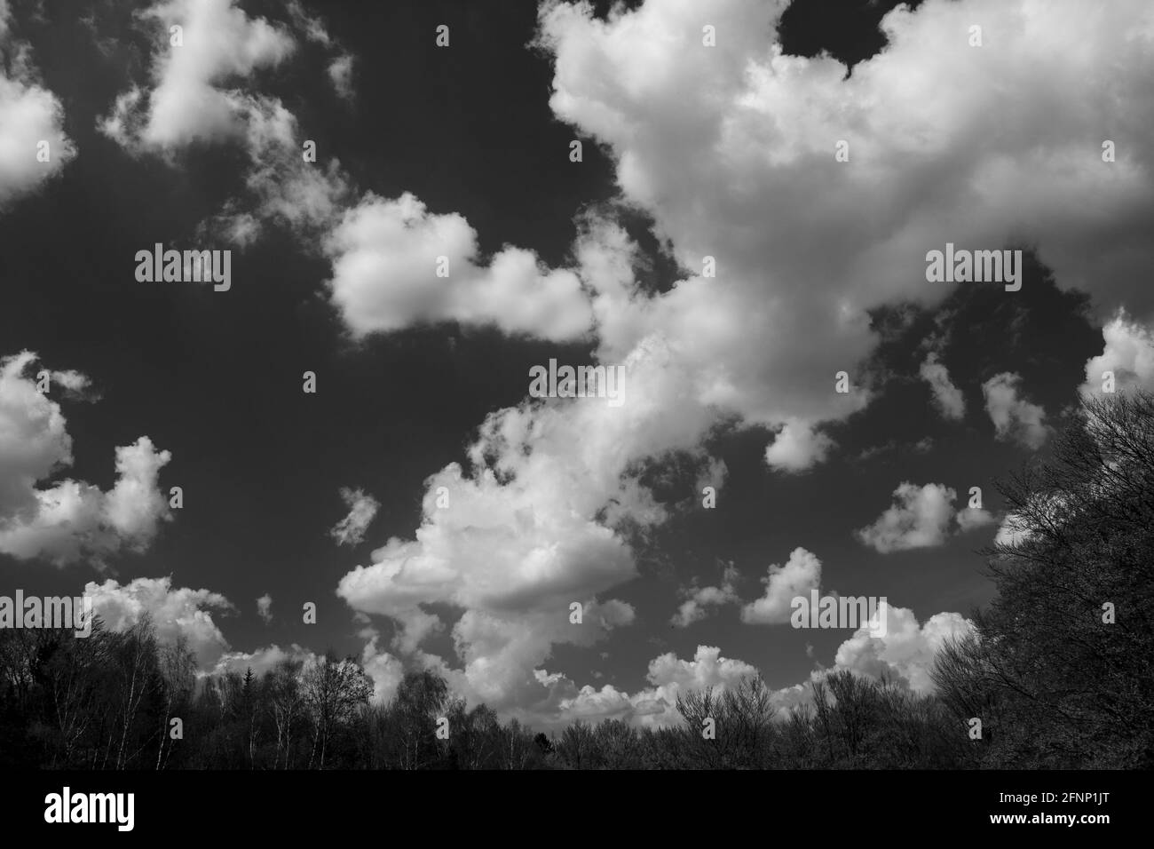 monochromatic landscape and sky with clouds Stock Photo - Alamy