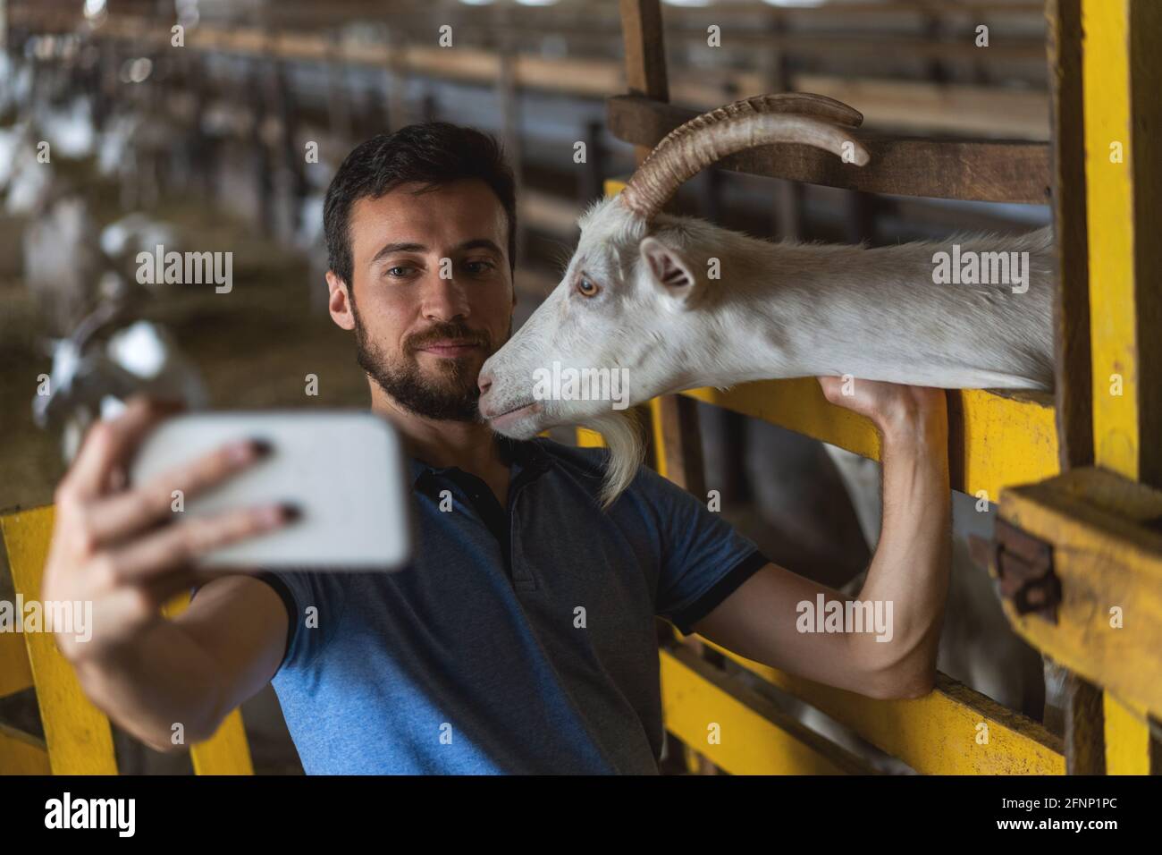 guy takes a selfie on the phone with a goat Stock Photo - Alamy